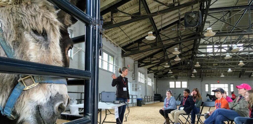 How To Become An Animal Educator? | Digi Extent